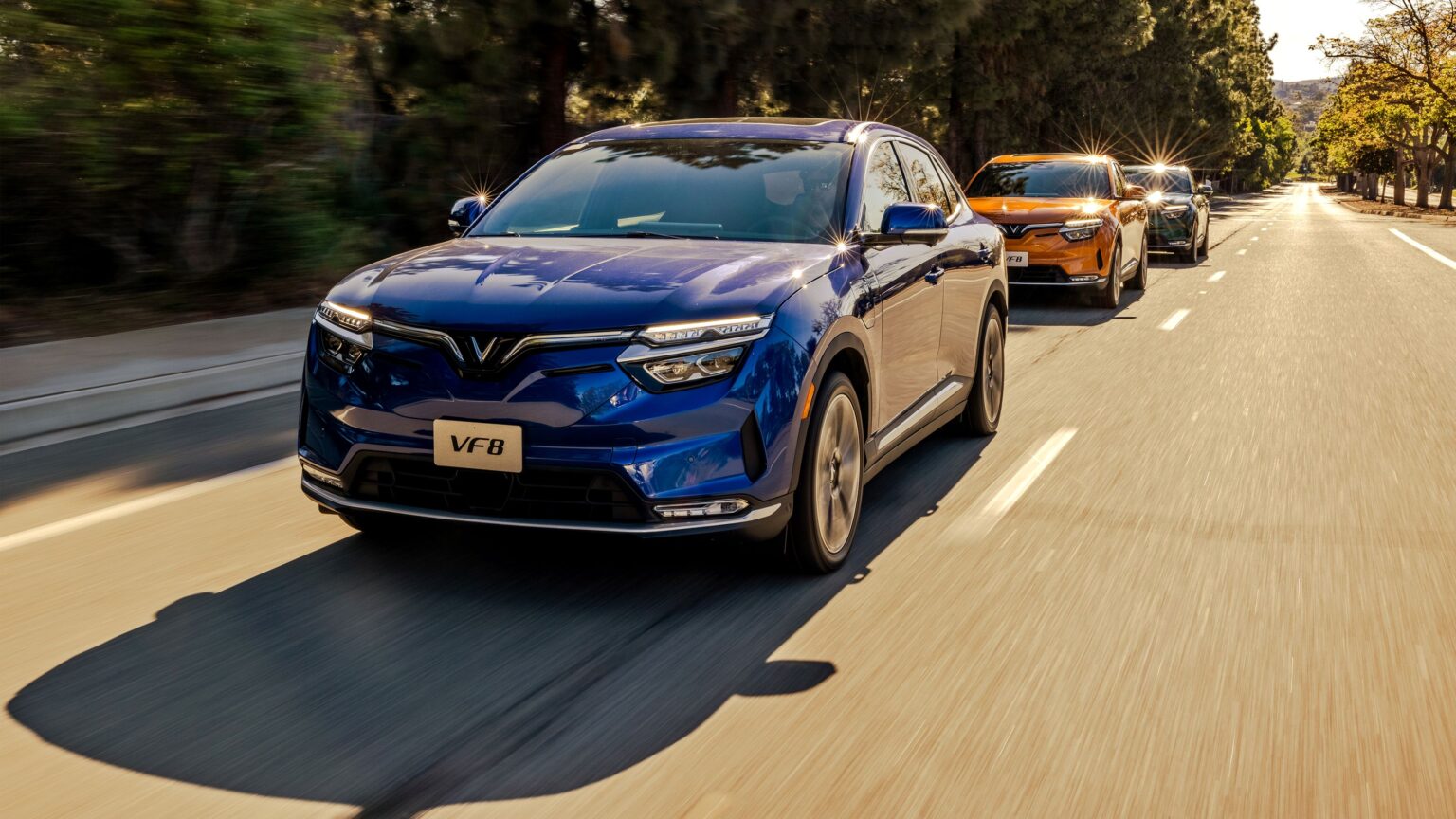 Maple Observer - VinFast – the new player in EV market, the compelling ...